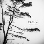 Entrevistas con El Agente Naranja, Rebeca Rods y la mejor programación ...